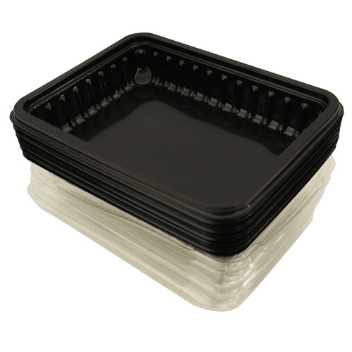 PL CONT&LID 10s BLK 38F